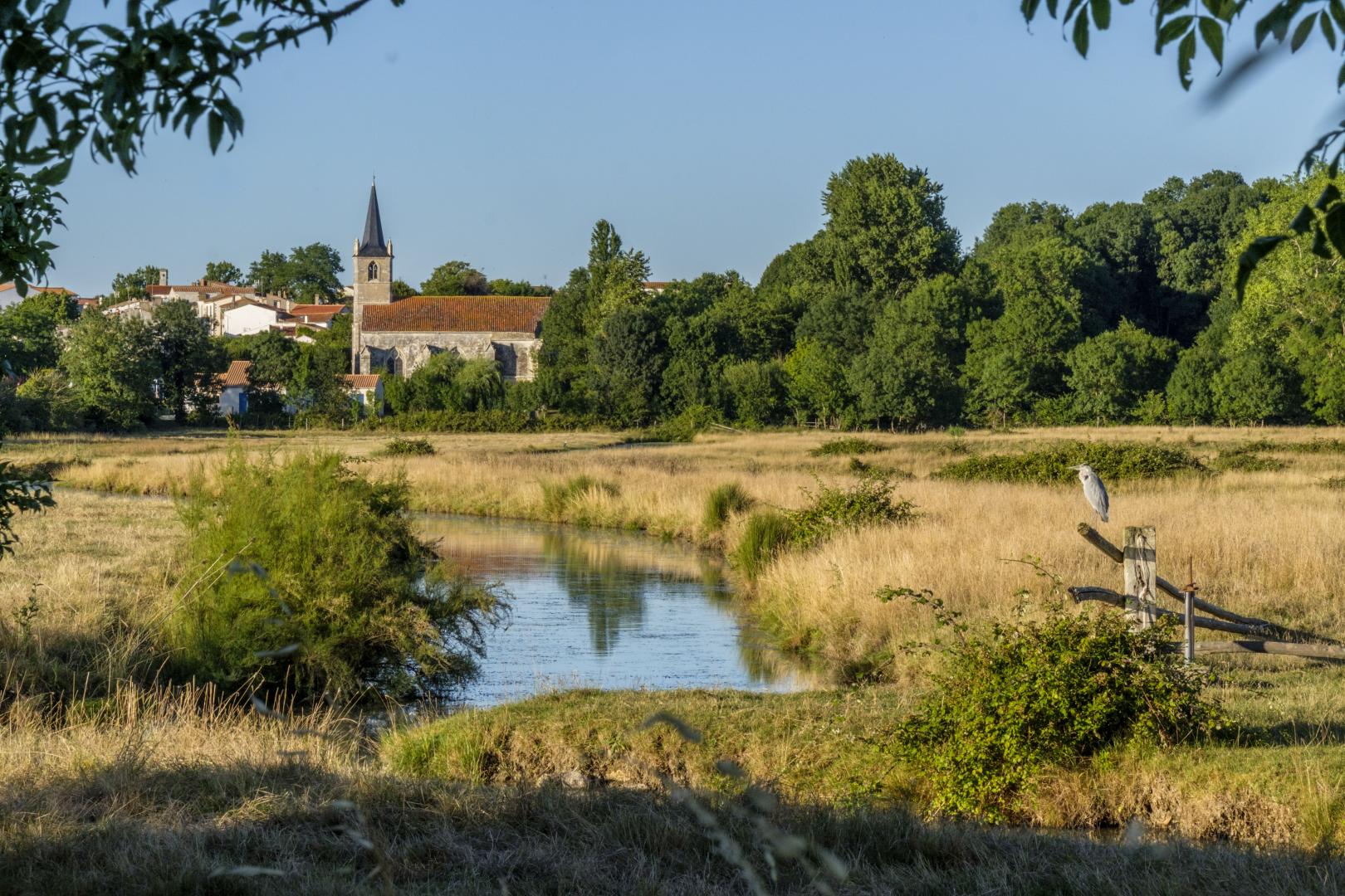 Randonner dans le marais de Brouage
